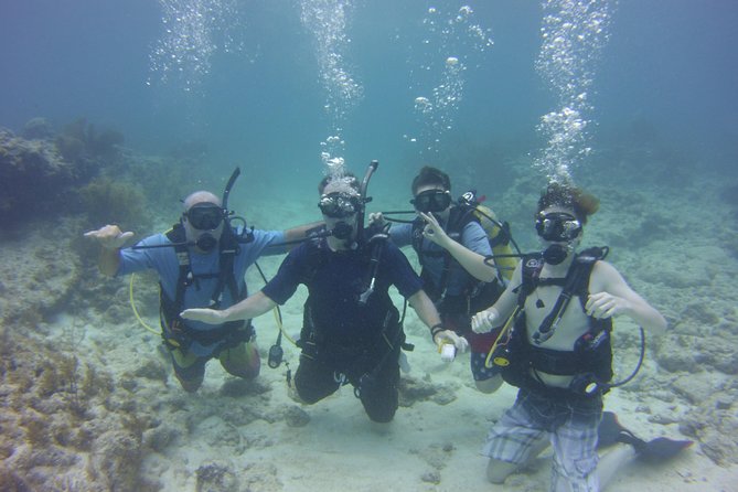 Private SCUBA Dive the reefs of Key Largo for up to 8 certified divers - Why This Tour Is Worth Considering