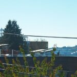 Private Seattle Cooking Class with a Chef in Her Home - Practical Details and What to Expect