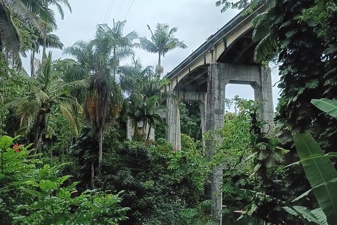 Private Shore Excursion Hilo Land of Frozen Fire up to 14 - FAQ