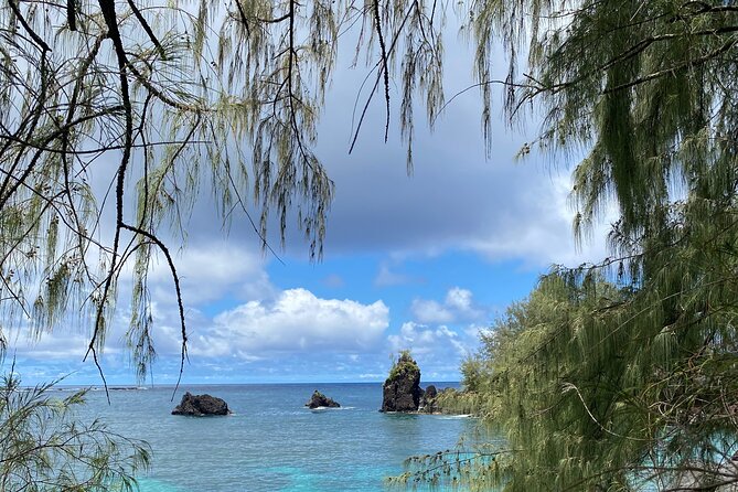 Private Surf Lessons in Lahaina, Maui - The Experience Itself: What to Expect