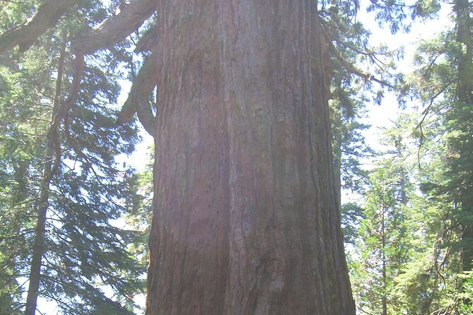 Private Tour: Best of the West 11-Day National Parks Tour with Lodging - The Sum Up