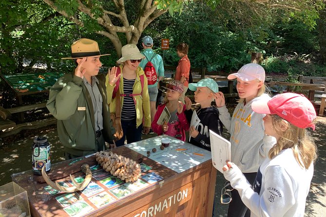 Private Tour Muir Woods and Sausalito - Detailed Breakdown of the Itinerary