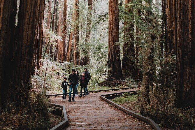 Private Tour of John Muir Redwoods and Sausalito - Real Experiences from Past Travelers