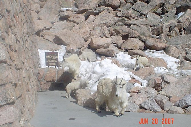Private tour of Red Rocks, Echo Lake, Mount Evans and Idaho Springs. - Value and Practicalities