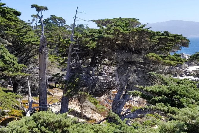 Private Tour to Monterey, Carmel, 17-Mile Drive, Pebble Beach - The Value in This Experience