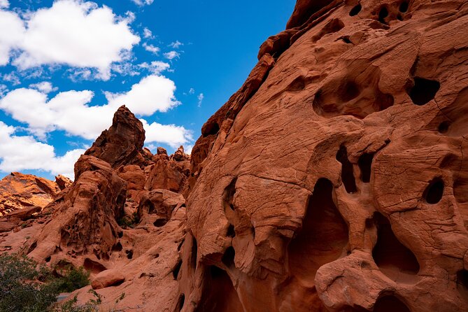 Private Tour: Valley of Fire Day Tour from Las Vegas - FAQ