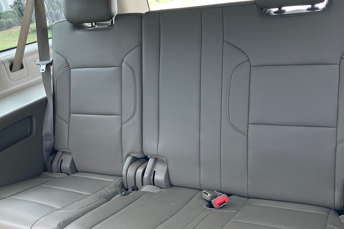 Private Transfer to Lake Buena Vista Hotels from MCO airport - The Experience: What to Expect
