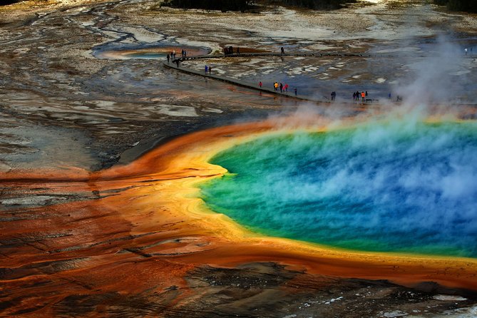 Private Upper Loop Tour of Yellowstone National Park - What Guests Say About the Experience