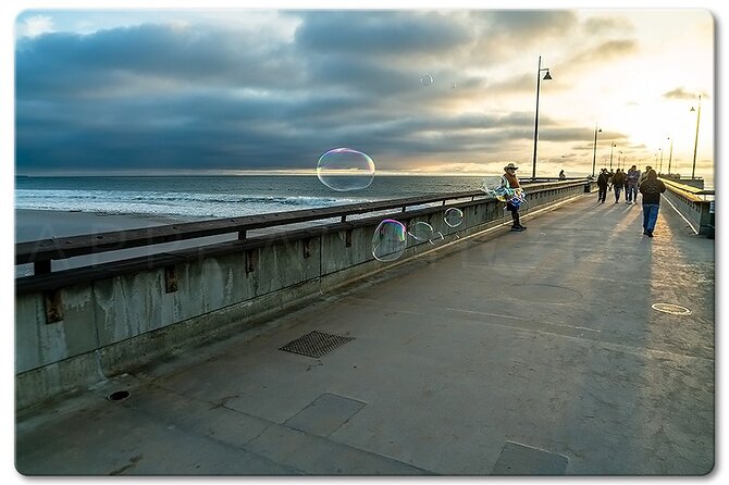 Private Venice Photographic Beach Walking Tour - What to Expect from the Venice Photographic Beach Walking Tour