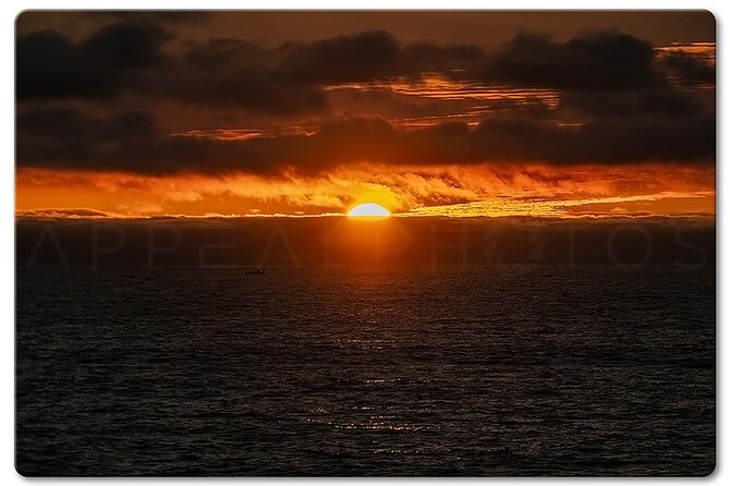 Private Venice Photographic Beach Walking Tour - Authentic Insights from Past Participants