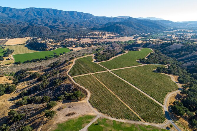 Private Vineyard Tour and Wine Tasting - Final Thoughts