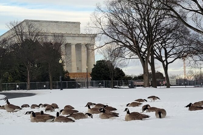 Private Washington DC Tour with Changing of the Guard Ceremony - What Makes This Tour Stand Out?