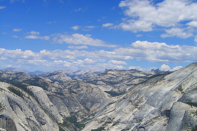 Private Western National Parks Tour from Las Vegas to San Francisco - Transportation, Accommodation, and Value