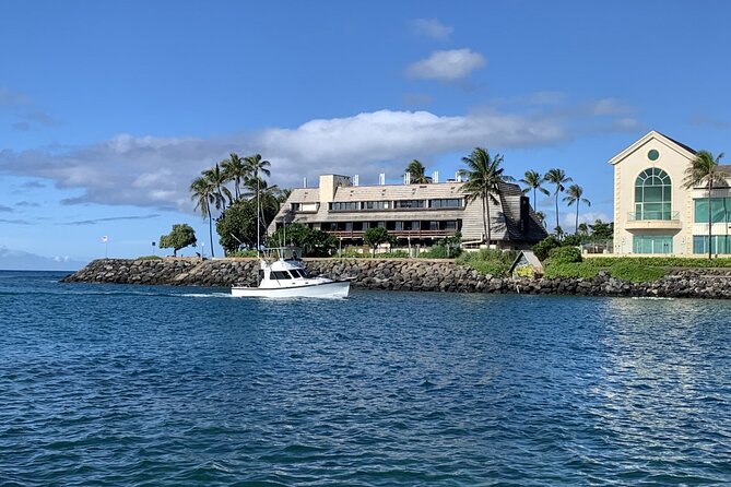 Private Whale Watching and Dolphin Excursion - The Crew and Experience