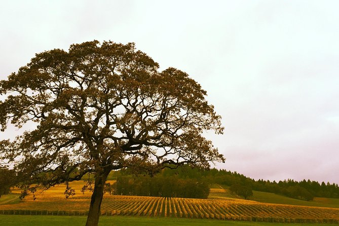 Private Willamette Valley Wine Tour from Portland (All tasting fees included) - Is This Tour Right for You?