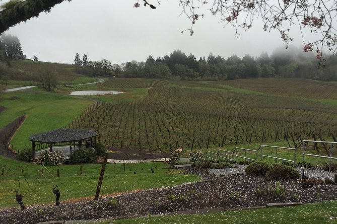 Private - Willamette Valley Wine Tour From Portland (tasting fees included) - Why This Tour Offers Great Value