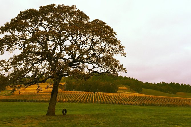 Private - Willamette Valley Wine Tour From Portland (tasting fees included) - FAQ