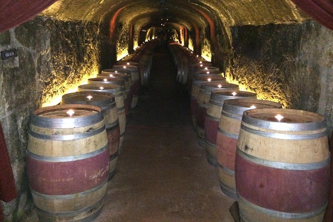 Private Wine Tour from San Francisco to Napa - Final Thoughts