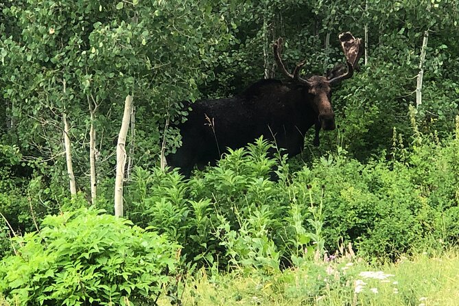 Privately Guided Scenic Mountain Hike - Scenic Highlights and Photo Ops