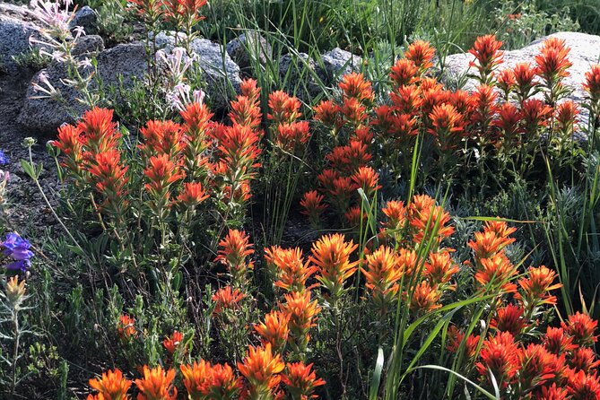 Privately Guided Scenic Mountain Hike - Who Will Love This Tour?