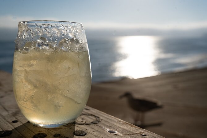 Puerto Nuevo Lobster and Tequila Tour - Authentic Experiences and Tips from Reviewers