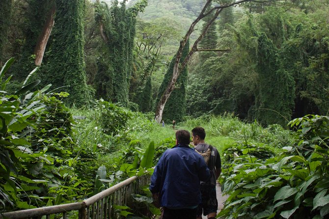 Rainforest Waterfall Trail and Shuttle Service - FAQ