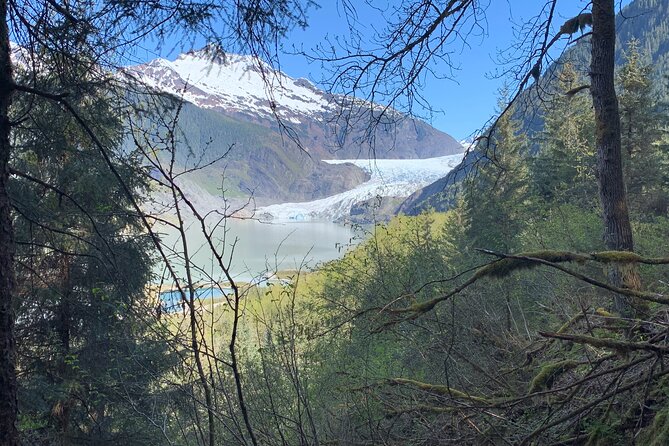 Rainforest & Waterfalls Trek