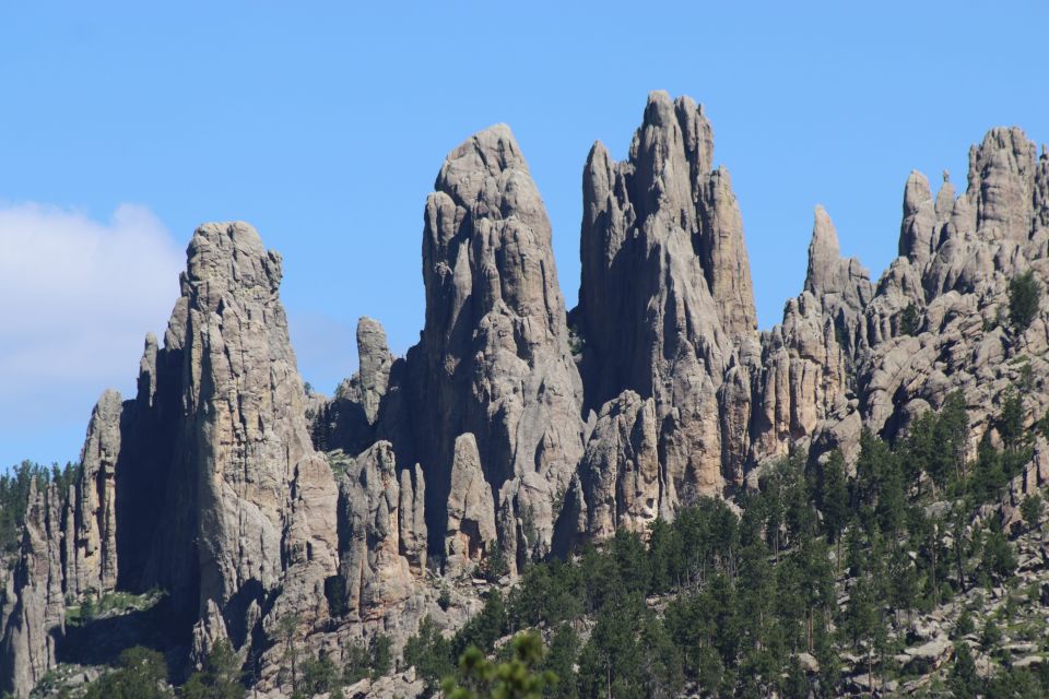 Rapid City: Black Hills and Mt Rushmore Day Tour with Lunch - Final Words