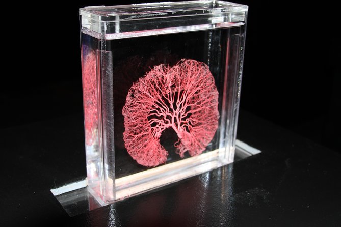 Real Bodies at Horseshoe Las Vegas - Practical Details and Tips