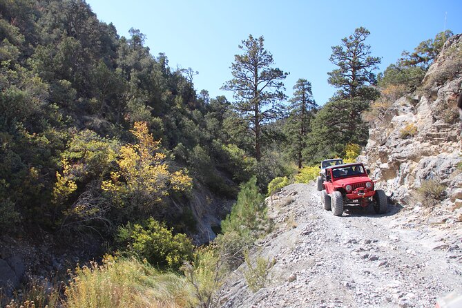 Red Rock Canyon Half Day Jeep Tour Offroad Adventure - Who Should Consider This Tour?