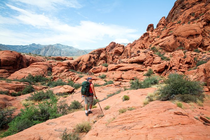 Red Rock Canyon Hike with Transport from Las Vegas - The Experience in Detail