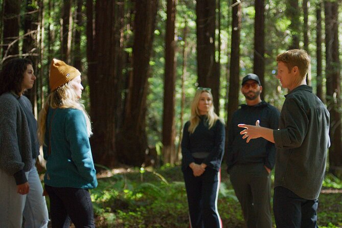 Redwoods Forest Bathing - Exploring Redwoods Forest Bathing: A Deep Dive into Nature’s Spa