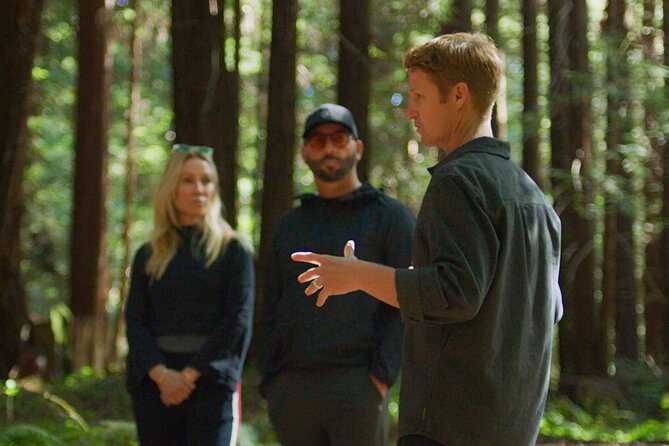 Redwoods Forest Bathing - What Is Redwoods Forest Bathing?