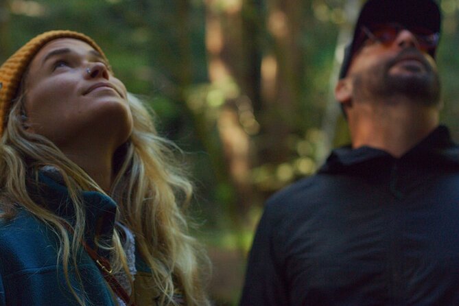 Redwoods Forest Bathing - Practical Details and Logistics