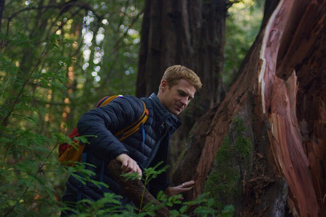 Redwoods Forest Bathing - Who Should Consider This Tour?