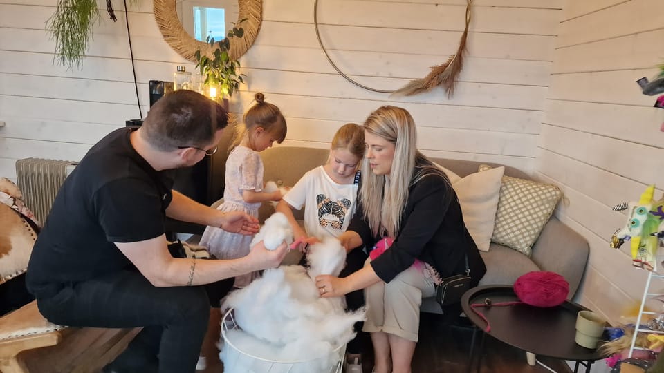 Reykjavik: Make an Icelandic Wool Monster - Who Will Love This Experience?