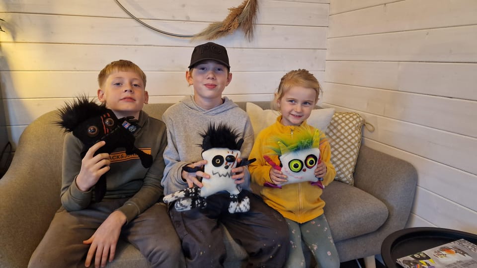 Reykjavik: Make an Icelandic Wool Monster - FAQ