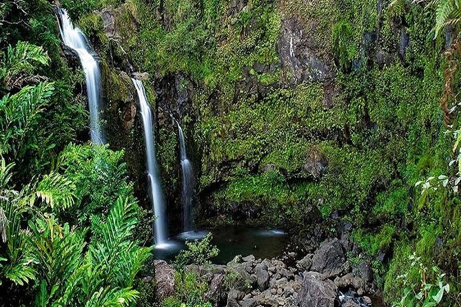 Road to Hana Deluxe Rainforest & Waterfall Experience from Maui - Who Would Love This Tour?
