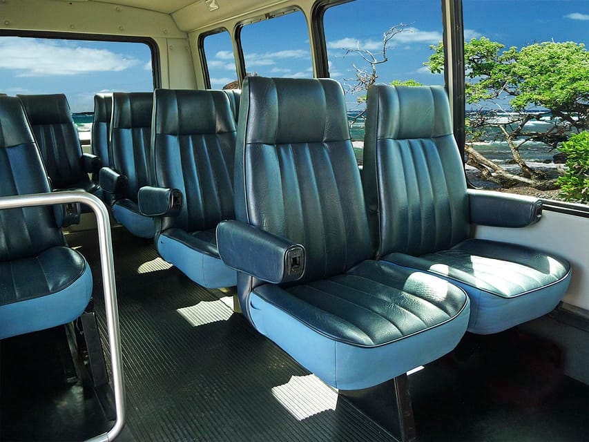 Road to Hana: Professional Guide, Food, Swimming, Waterfalls - Who Will Love This Tour?