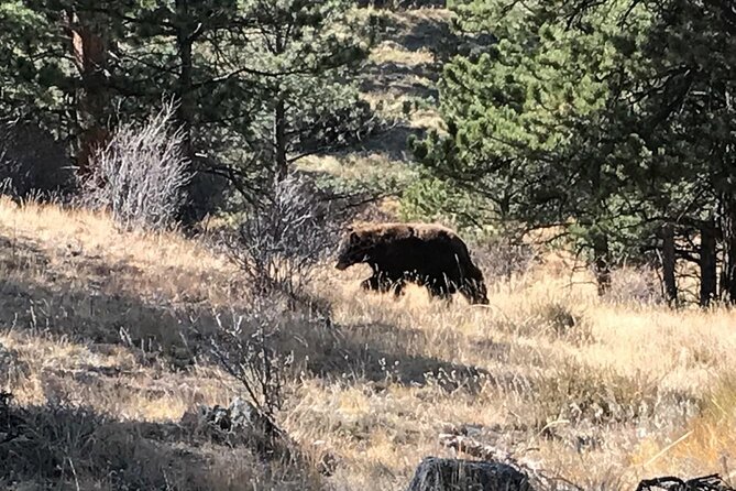 Rocky Mountain National Park in Summer Tour from Denver - FAQs