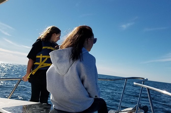 Romantic Wine and Cheese Boat Tower Cruise