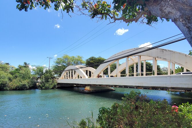 Round Trip North Shore Shuttle from Waikiki to Haleiwa Town / Haleiwa Harbor - Detailed Review of the North Shore Shuttle Experience