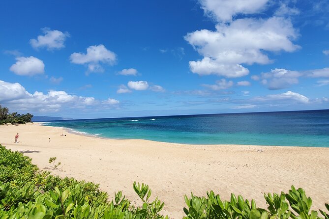 Round Trip North Shore Shuttle from Waikiki to Haleiwa Town / Haleiwa Harbor - Final Thoughts