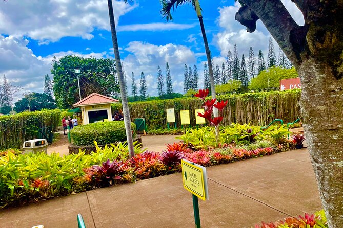 Roundtrip Shuttle From Waikiki to Dole Plantation & Haleiwa Town - A closer look at the itinerary and what you’ll experience