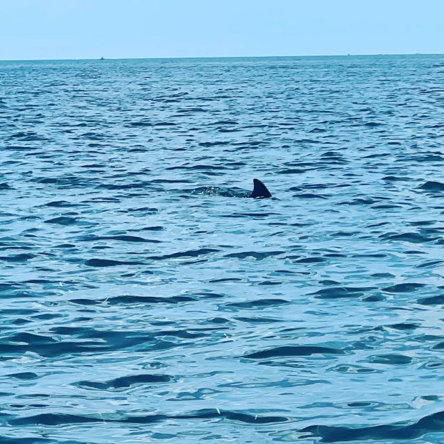 Salty Turtle Adventure Charter - Why This Tour Offers Great Value