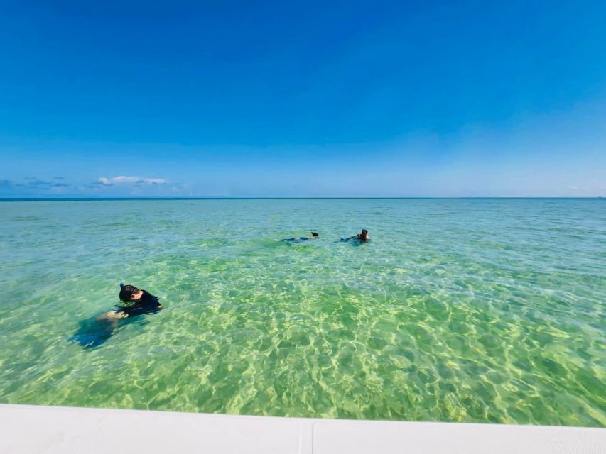 Salty Turtle Adventure Charter - Authentic Testimonials: Real Travelers, Real Experiences