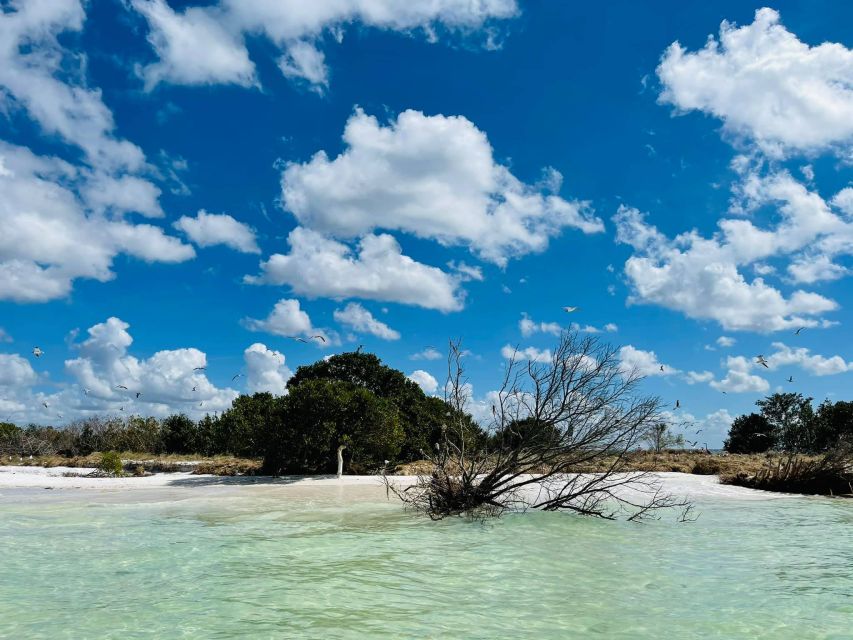 Salty Turtle Adventure Charter - Is This Tour Right for You?