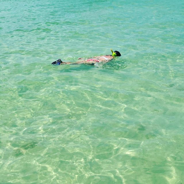 Salty Turtle Adventure Charter - FAQ