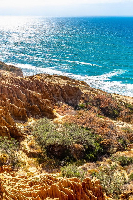 San Diego: Beaches & Bluffs Self-Guided Driving Tour - Authentic Experiences and Feedback