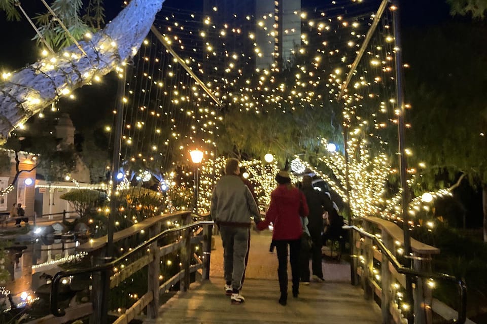 San Diego: Holiday Lights and Sights Trolley Tour - Key Points